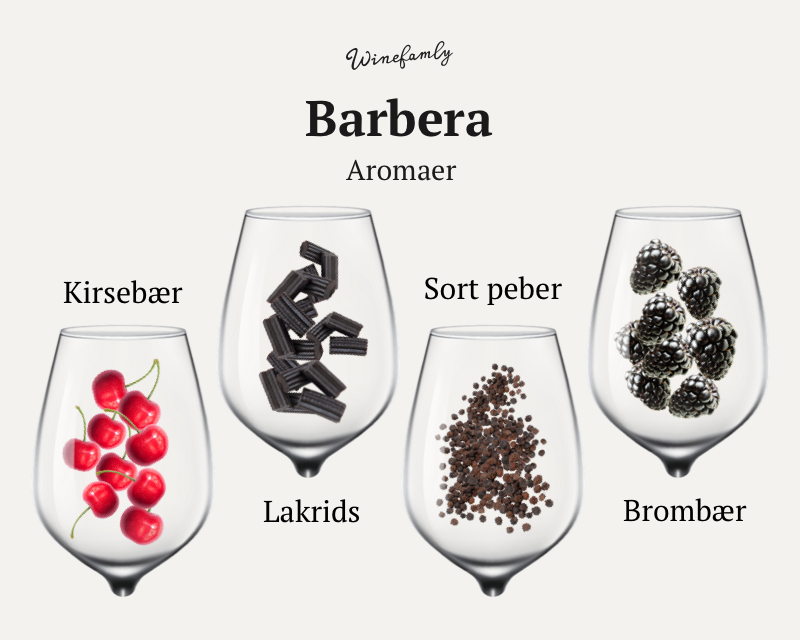 GUIDE: Den lille hurtige til Barbera