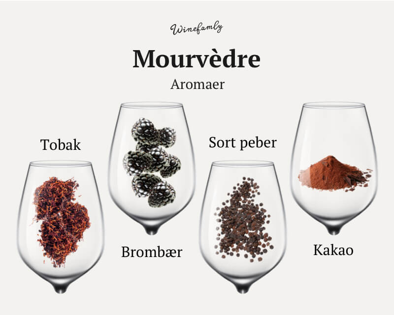 GUIDE: Den lille hurtige til Mourvèdre