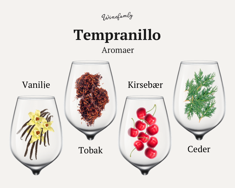 Tempranillo vin - den korte guide